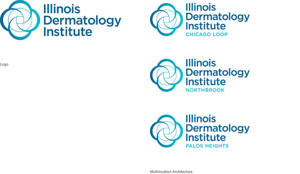 Illinois Dermatology Institute Project Highlights